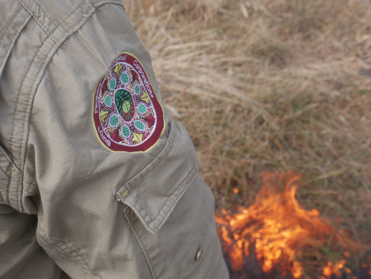 Bunya Mountains Indigenous Experience – Qld Music Trails