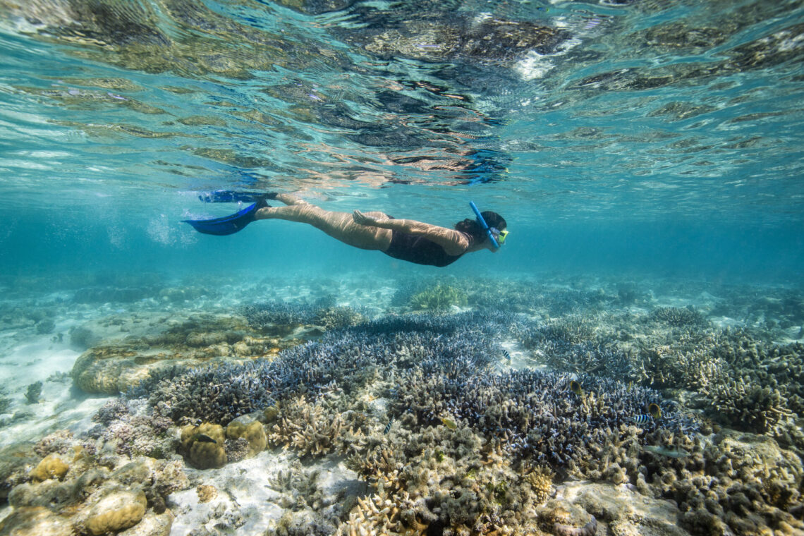 8 Unique Ways to Explore the Great Barrier Reef – Qld Music Trails
